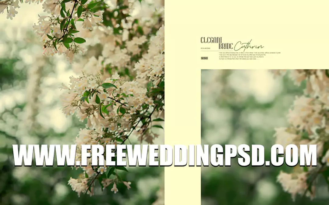 photo album background design psd - Free Wedding PSD